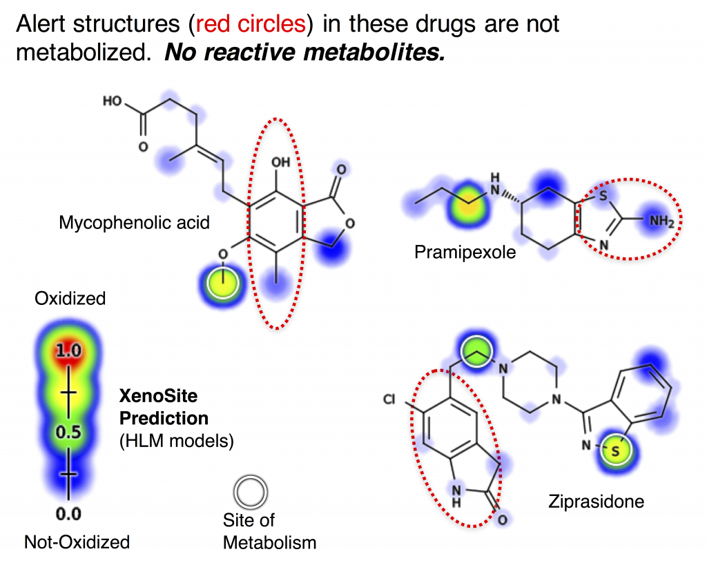Metabolism and Reactivity (FUNDED) - S. Joshua Swamidass, MD PhD