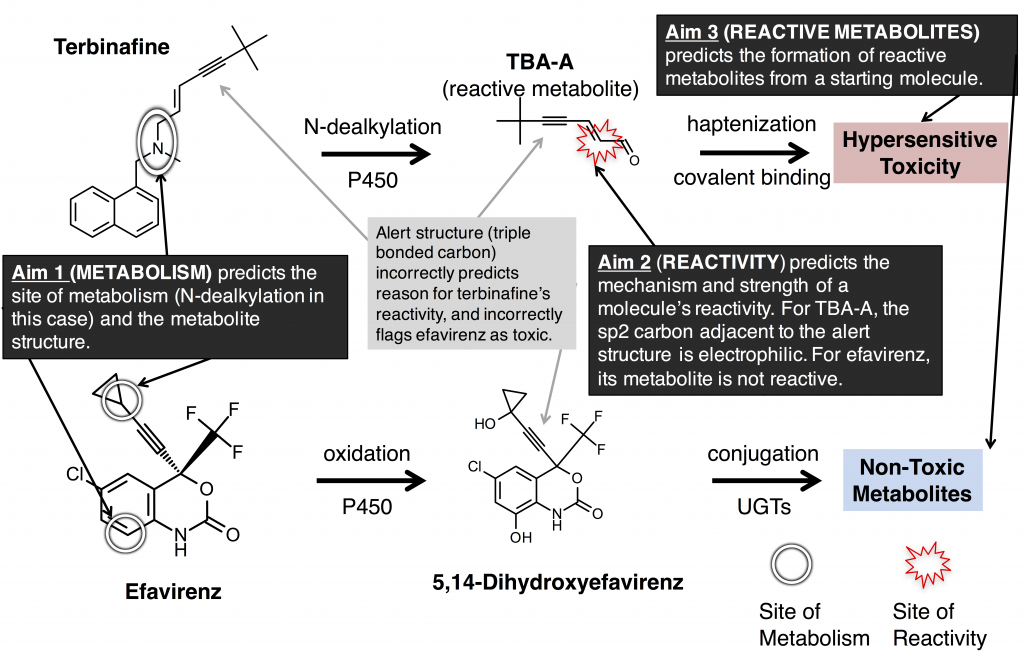 Metabolism and Reactivity (FUNDED) - S. Joshua Swamidass, MD PhD