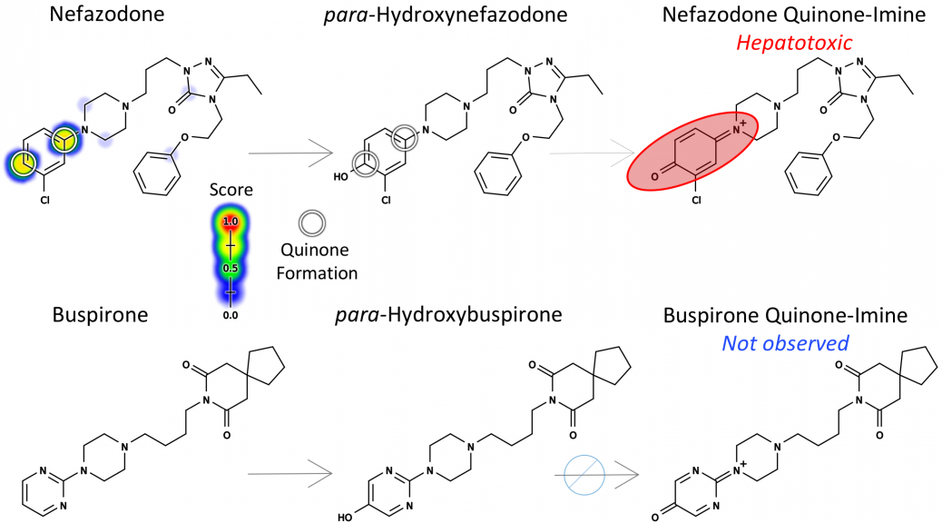 Deep Learning to Predict the Formation of Quinone Species in Drug ...